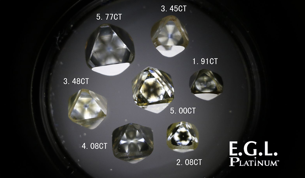 花鑽: 稀有太陽 The Rare Sun - jurassic museum