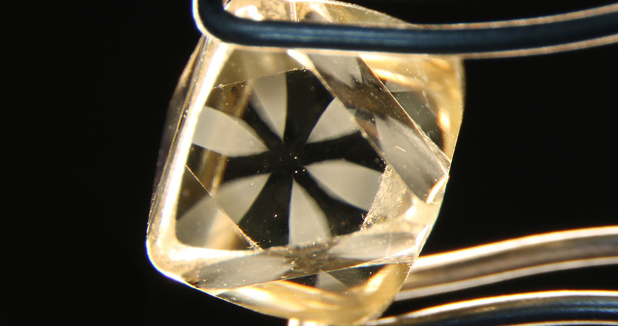 花鑽: 稀有太陽 The Rare Sun - jurassic museum