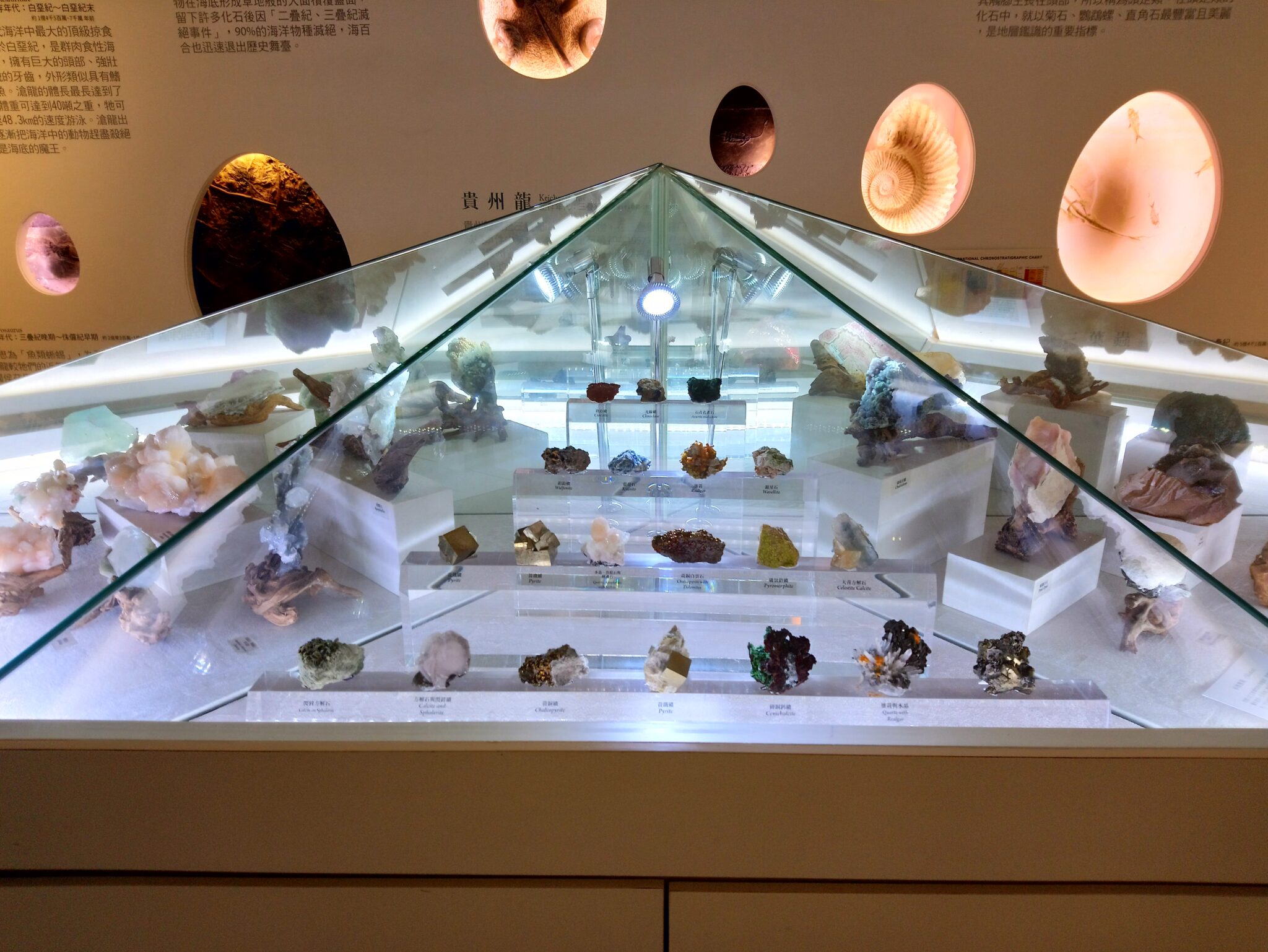 Rocks and Minerals - jurassic museum